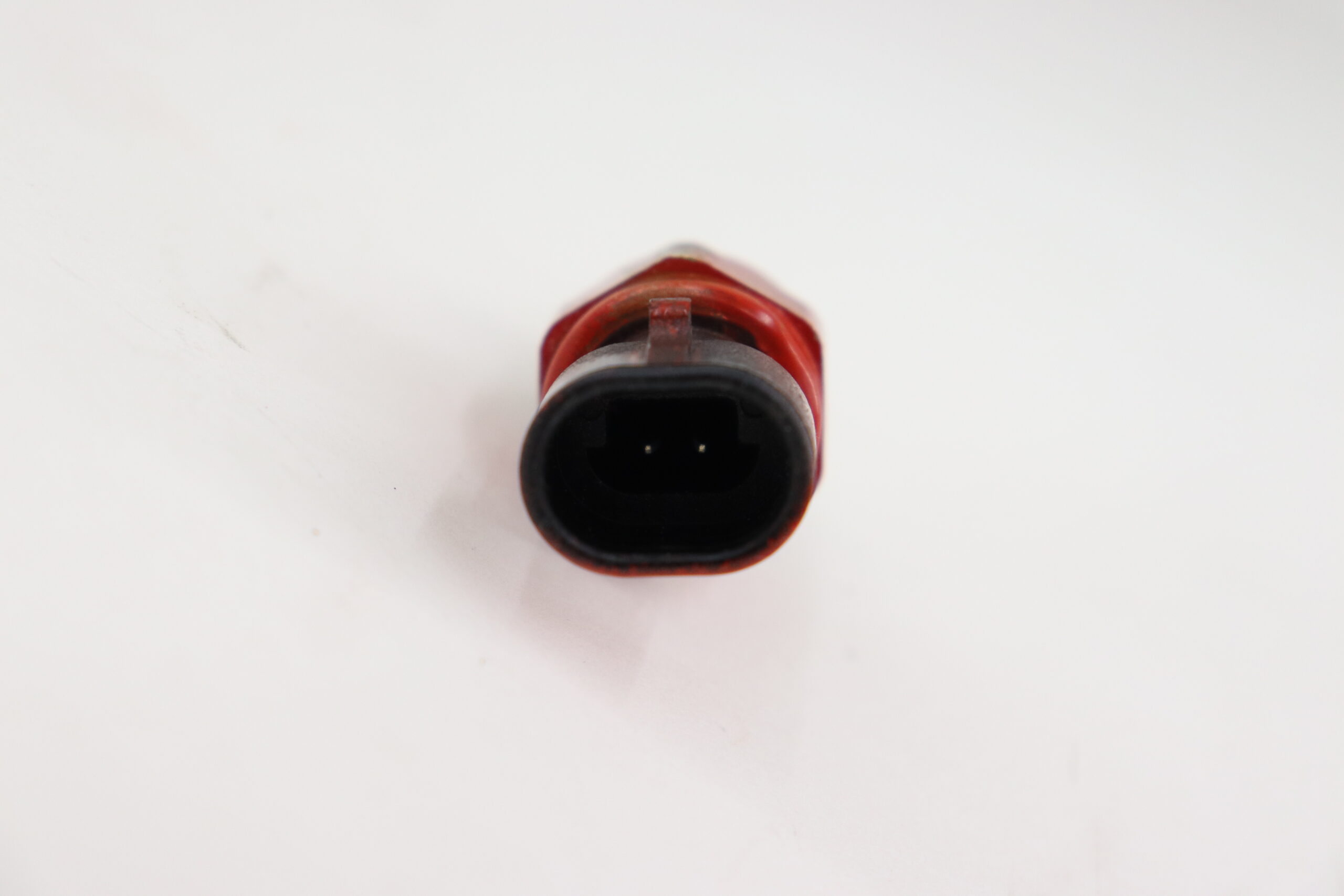 Cummins 4954905 Temperature Sensor | EKG DIESEL